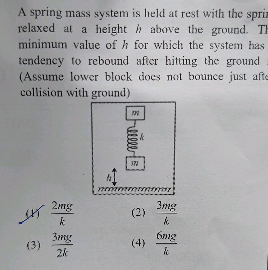 A spring mass system is held at rest with | StudyX