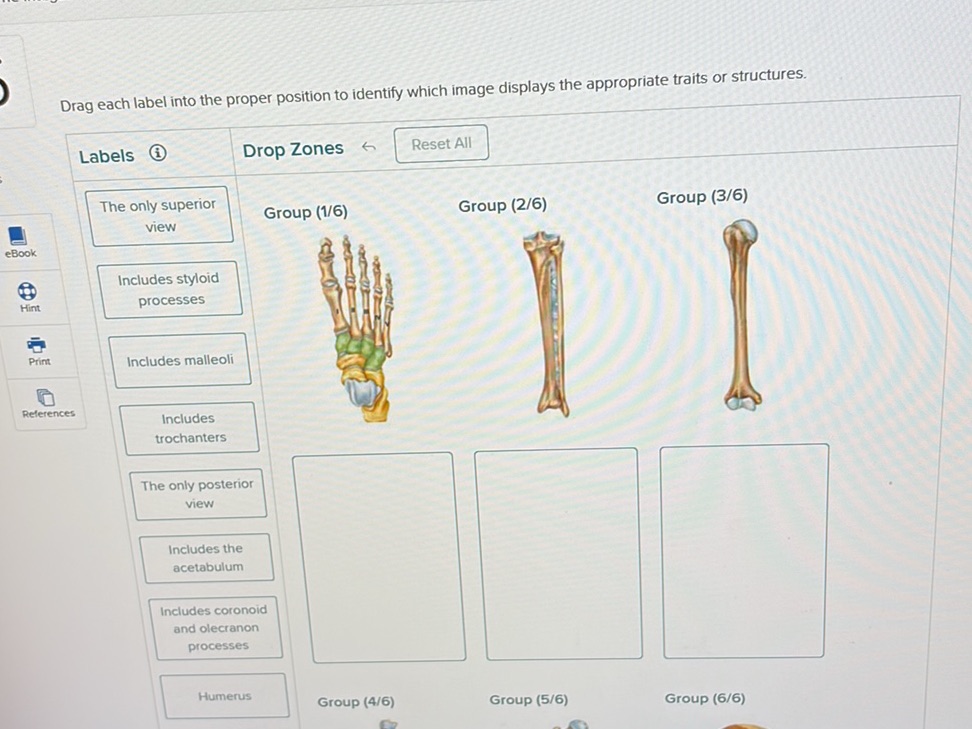 Drag each label into the proper position to | StudyX
