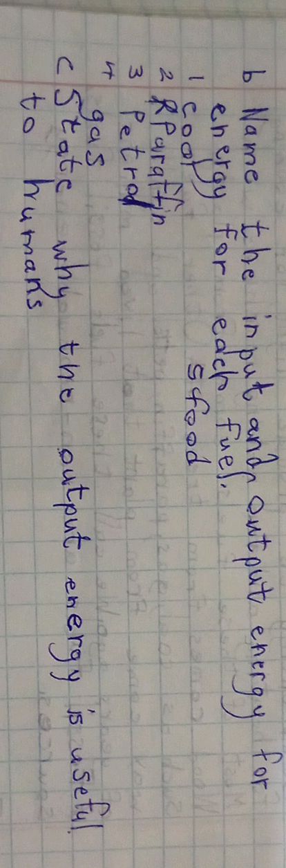 b Name the input and output energy for each