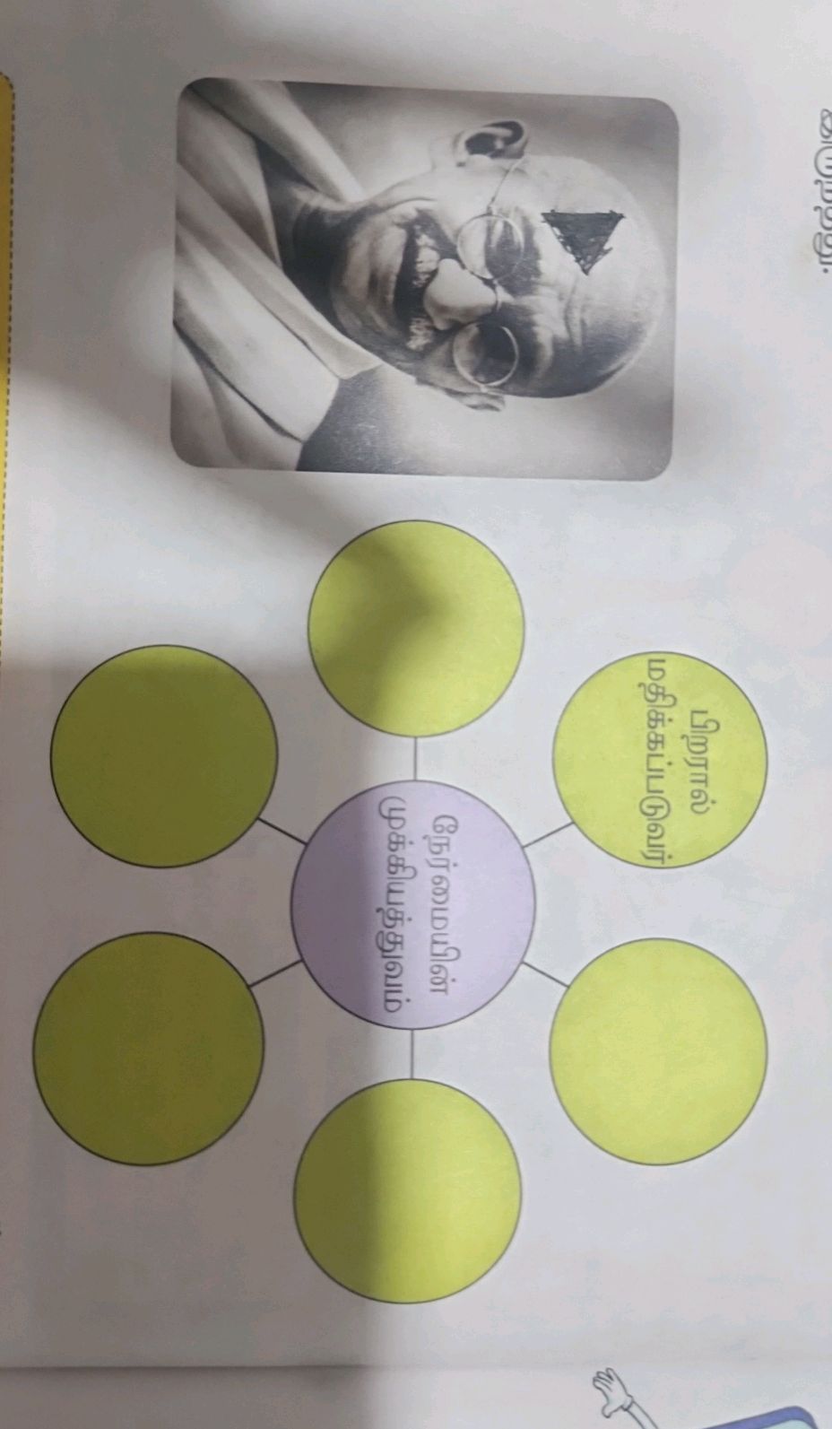 The image contains a diagram with a picture | StudyX