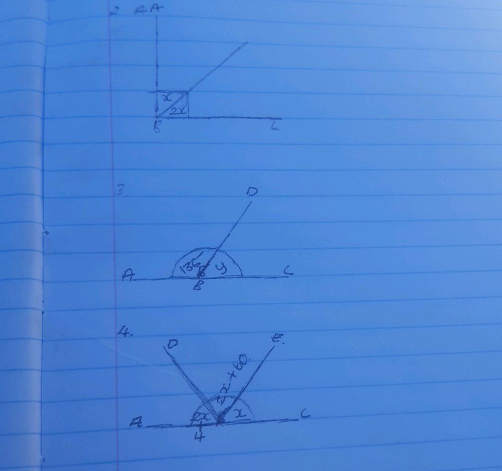 Diagram with angles x and 2x. 3. Diagram