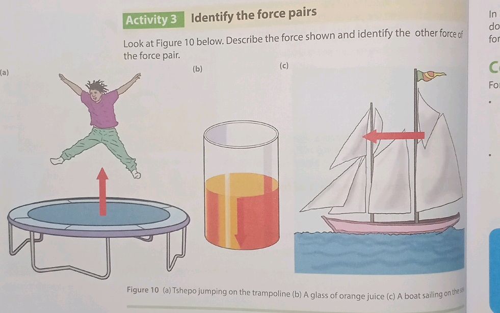 Activity 3 Identify the force pairs Look at