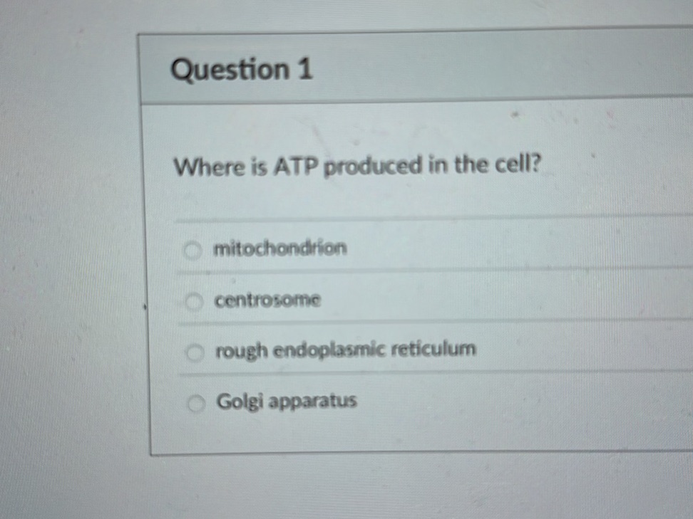Where is ATP produced in the cell?