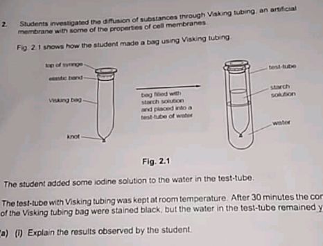 Students investigated the diffusion of