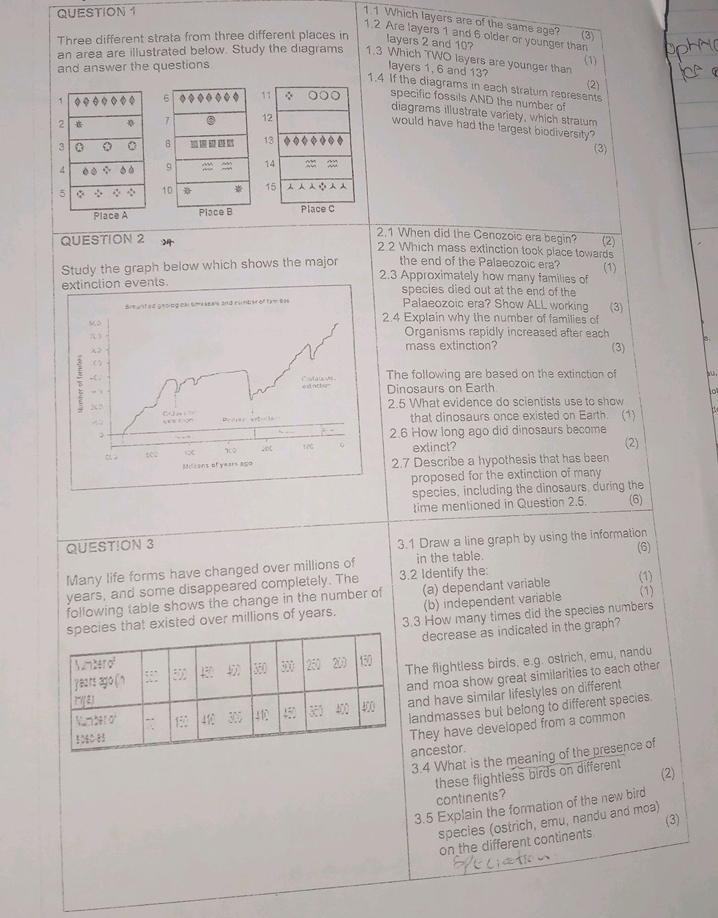 QUESTION 1 Three different strata from three | StudyX