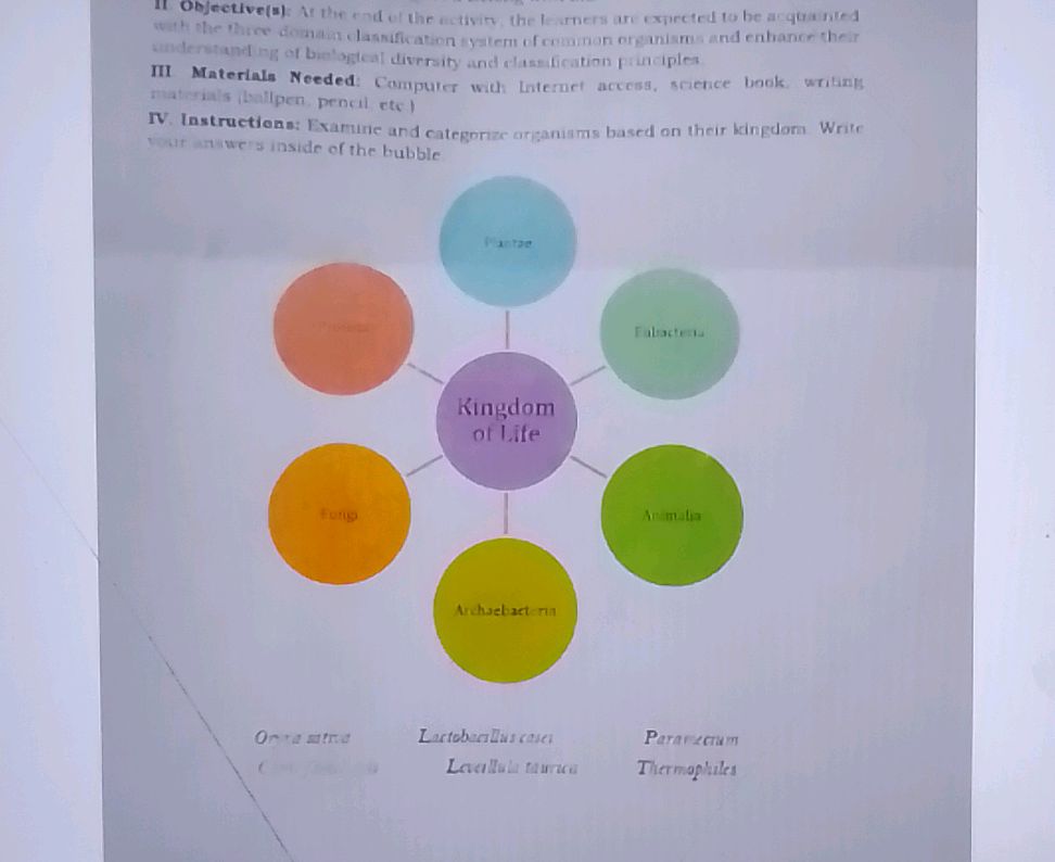 IV. Instructions: Examine and categorize | StudyX