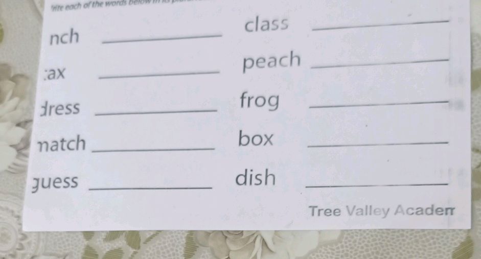 Write each of the words below in its plural | StudyX