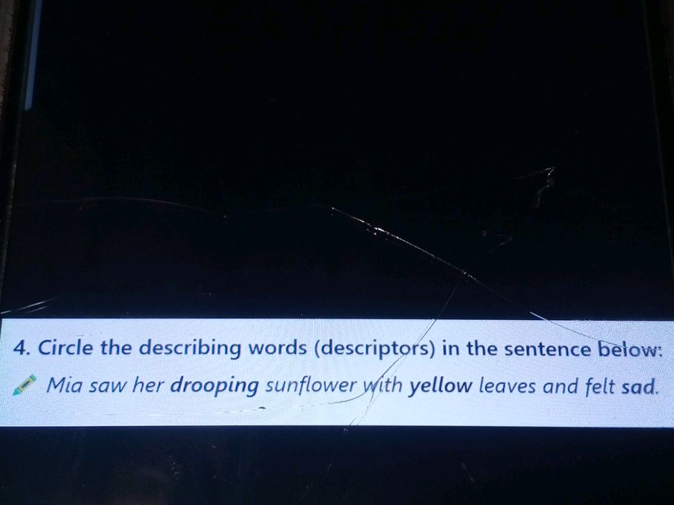 4. Circle the describing words (descriptors) | StudyX