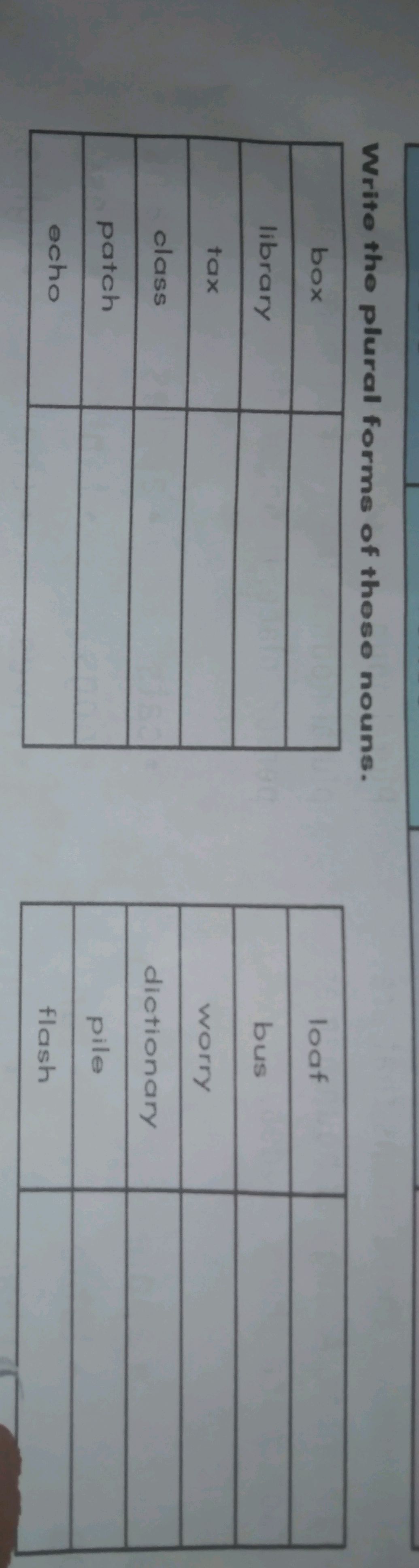 Write the plural forms of these nouns. | | StudyX