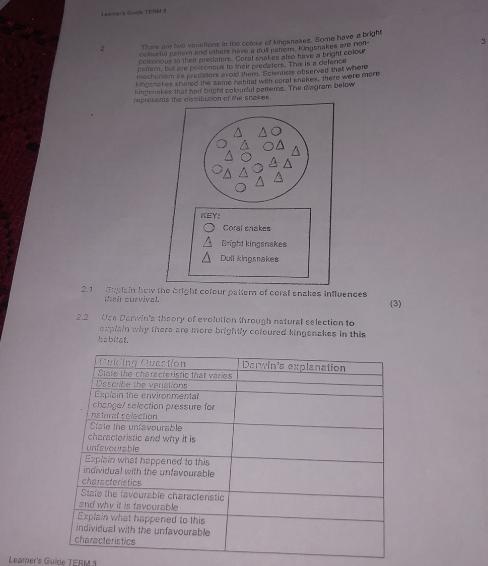 2.1 Explain how the bright colour pattern of
