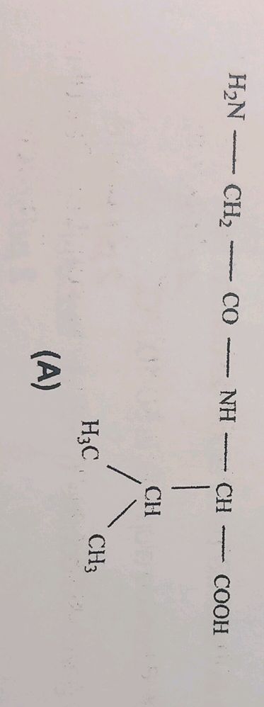 H2N - CH2 - CO - NH - CH - COOH CH / H3C CH3 | StudyX
