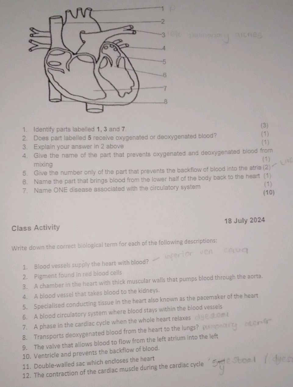 1. Identify parts labelled 1, 3 and 7. 2. | StudyX