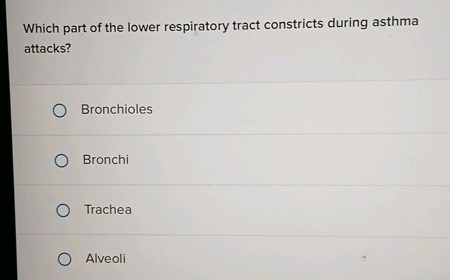 Which part of the lower respiratory tract