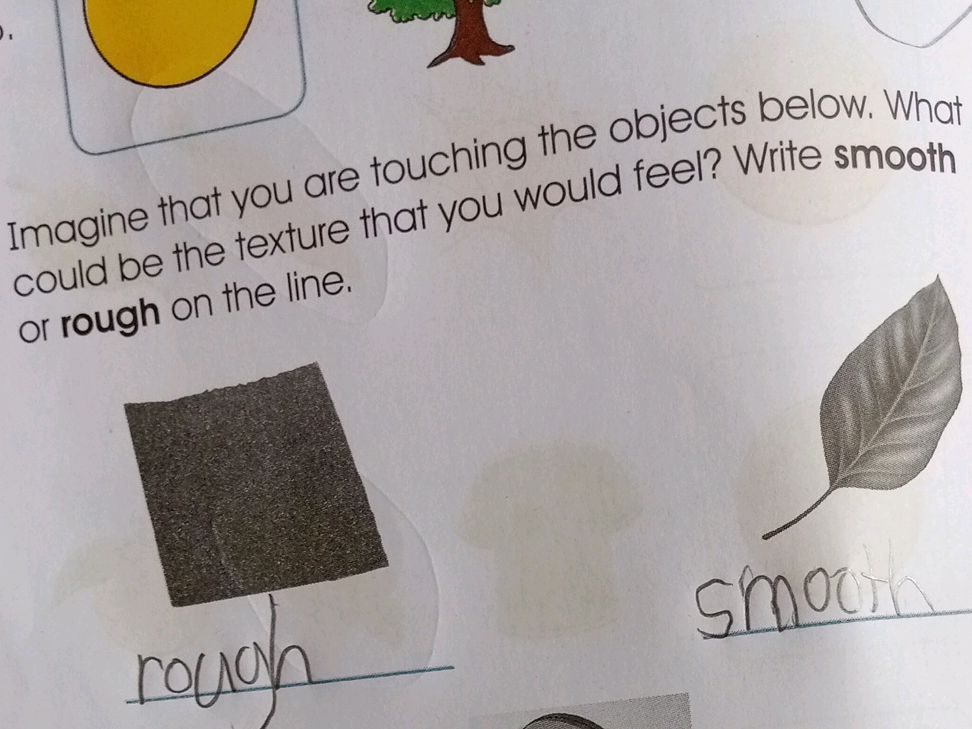 Imagine that you are touching the objects | StudyX