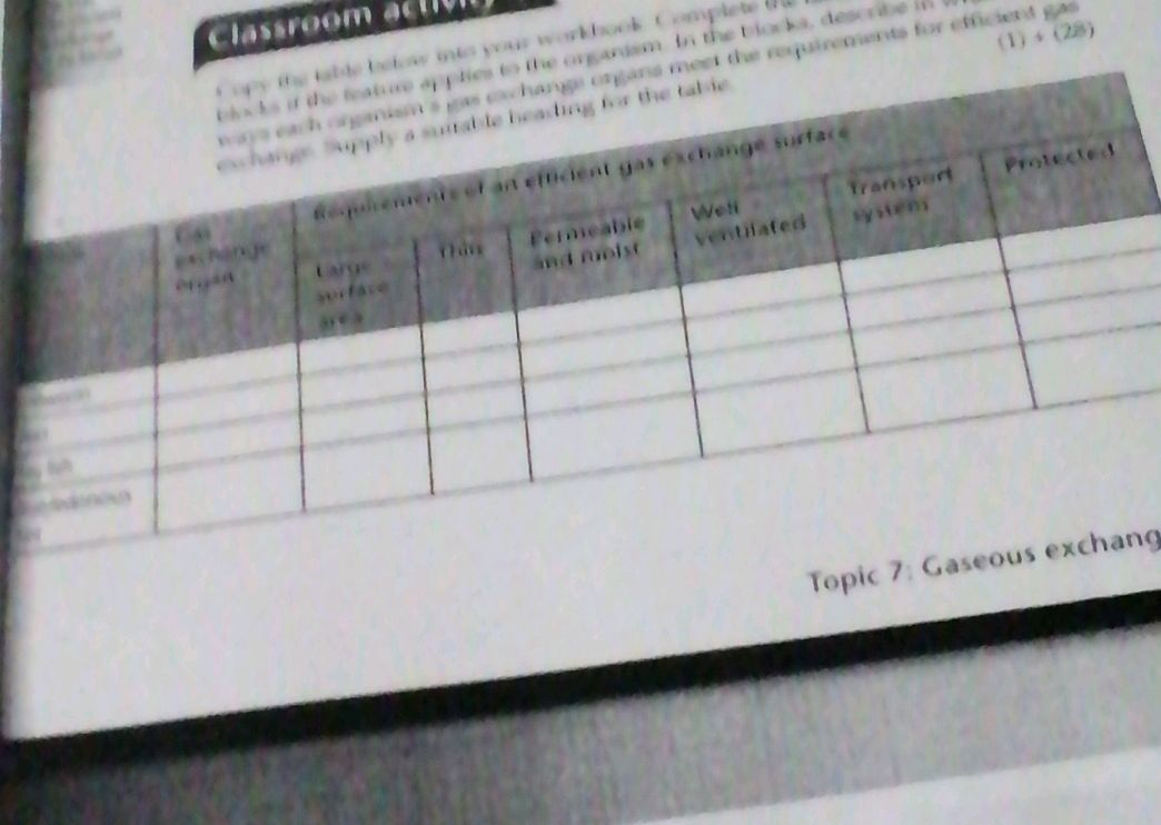 Copy the table below into your workbook. | StudyX