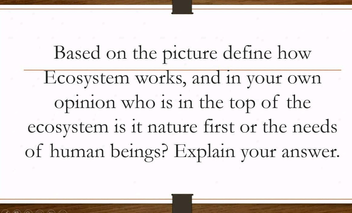 Based on the picture define how Ecosystem