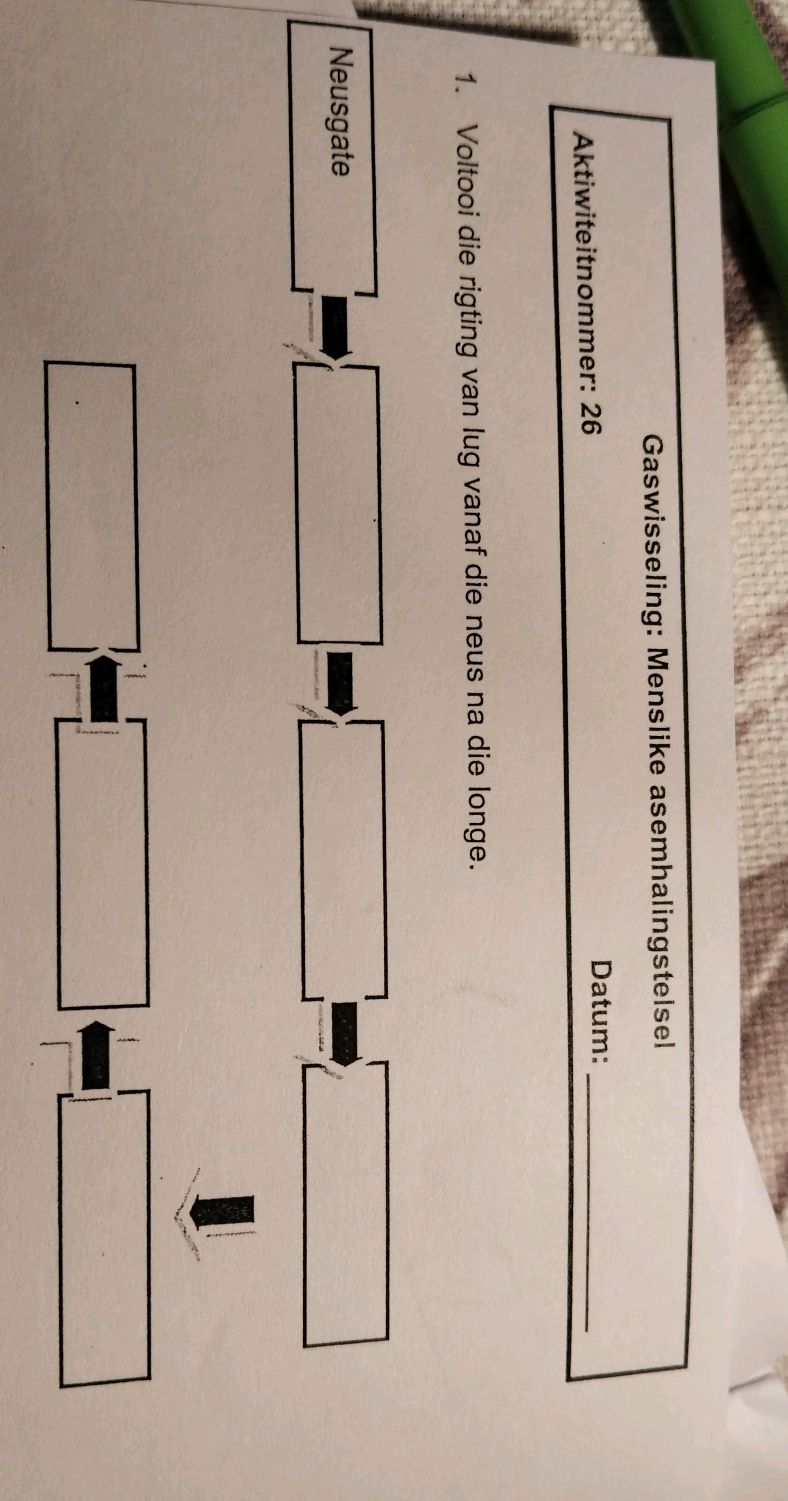 1. Voltooi die rigting van lug vanaf die | StudyX