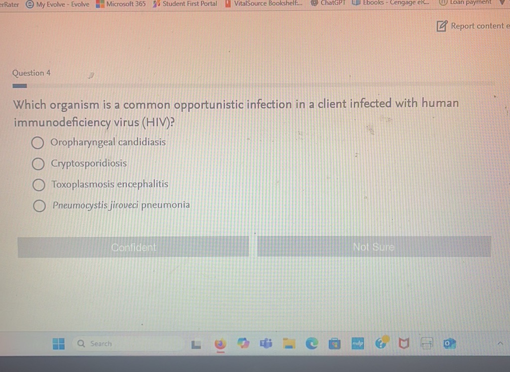 Which organism is a common opportunistic