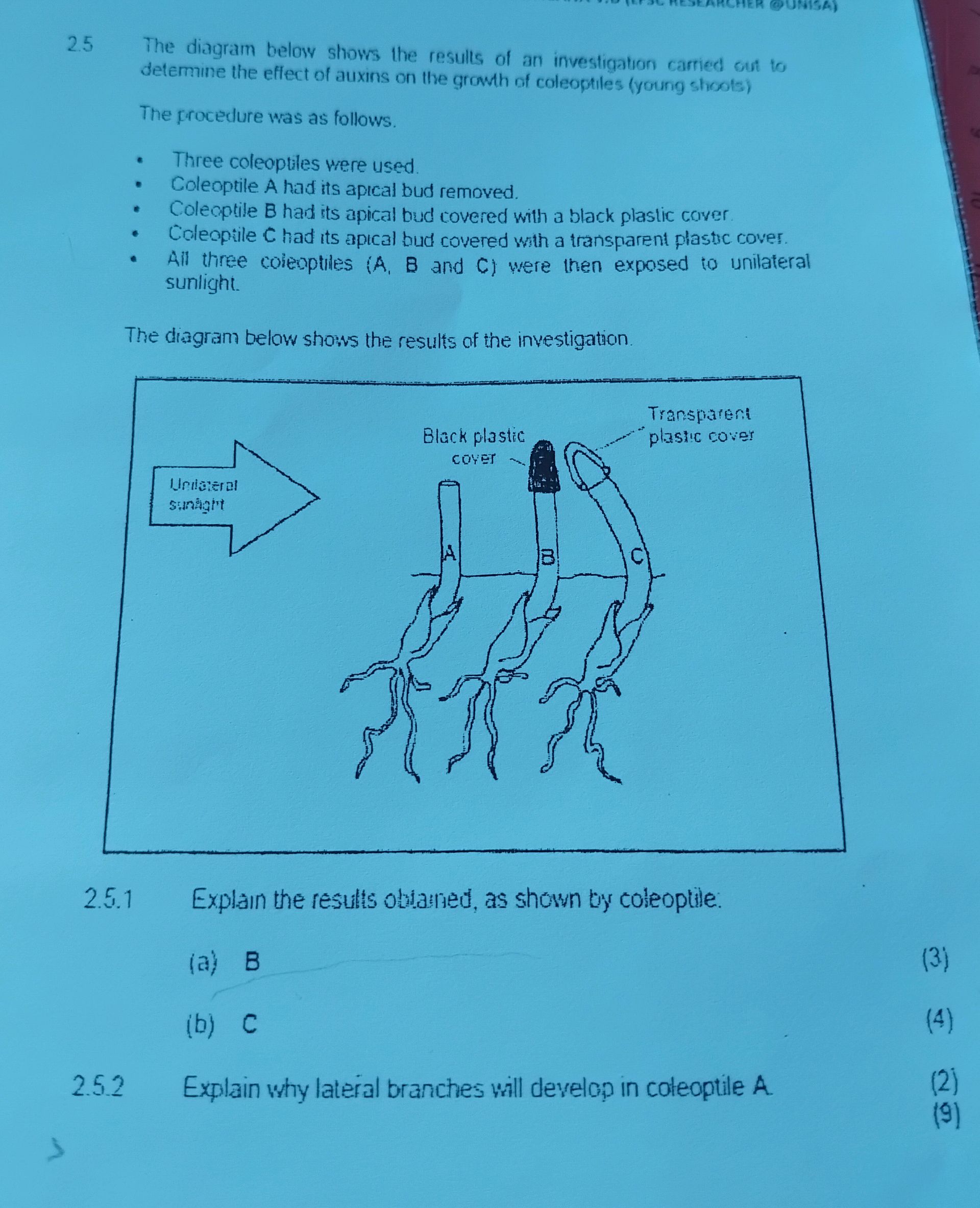 5 The diagram below shows the results of an