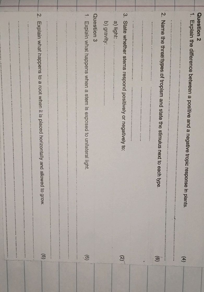 Question 2 1. Explain the difference | StudyX