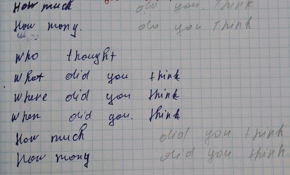 How much How mony. who thought What did you | StudyX