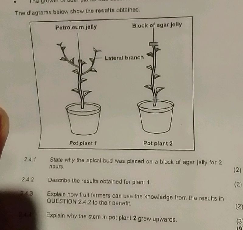 The diagrams below show the results | StudyX