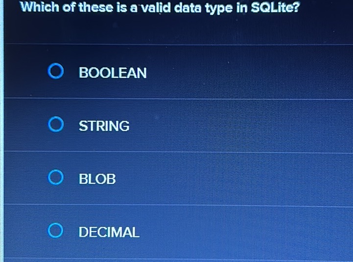Which of these is a valid data type in | StudyX
