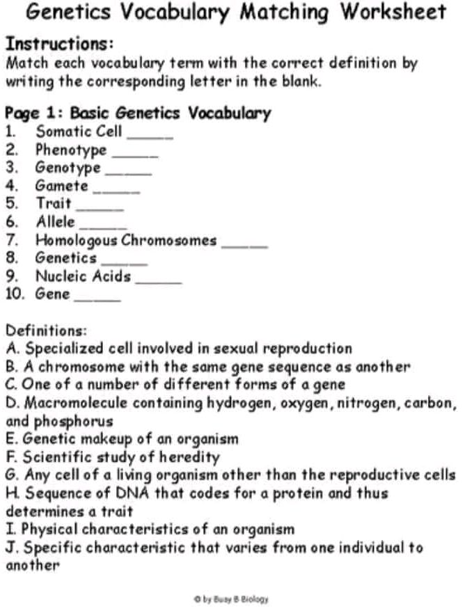 Match each vocabulary term with the correct | StudyX