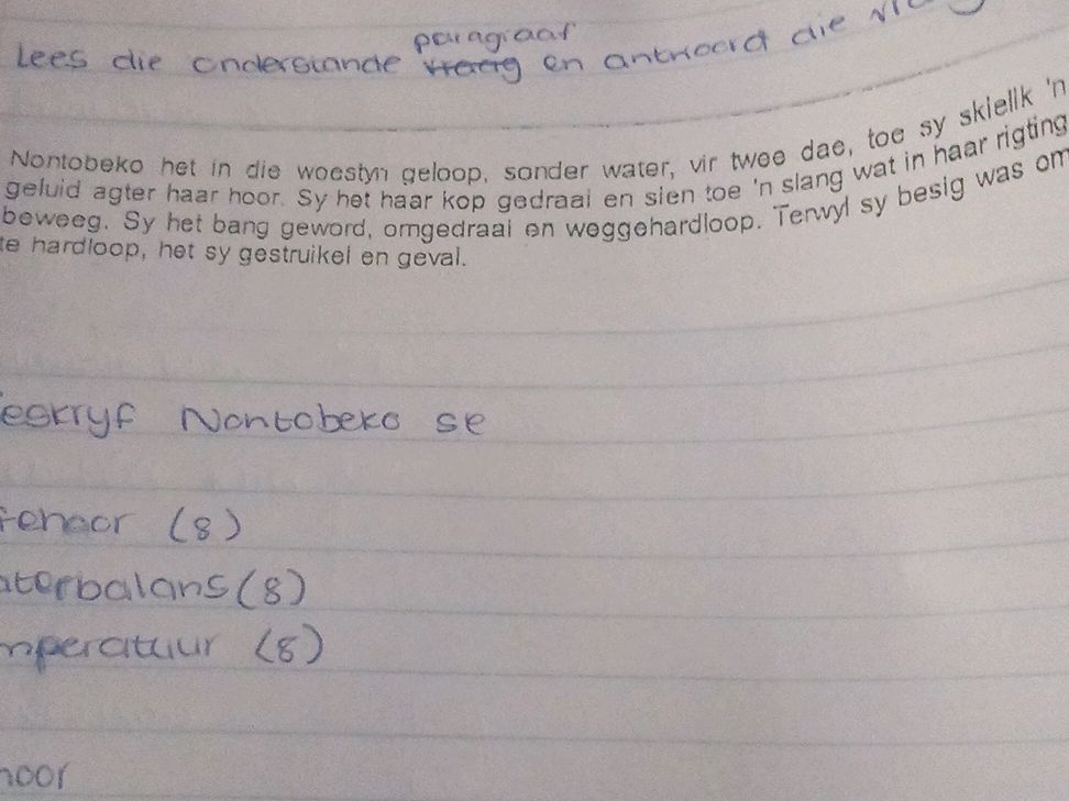 Lees die onderstaande paragraaf en antwoord