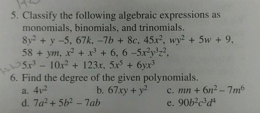 Classify the following algebraic expressions | StudyX