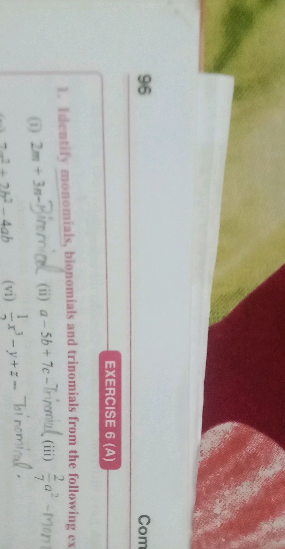 1. Identify monomials, binomials and | StudyX