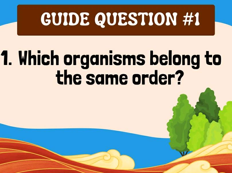 1. Which organisms belong to the same order? | StudyX