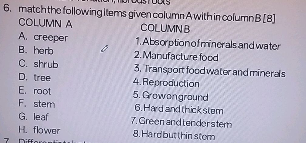 6. match the following items given column A | StudyX