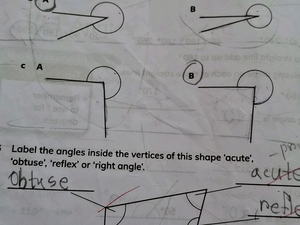 Label the angles inside the vertices of this | StudyX
