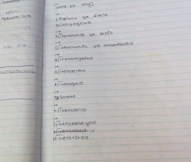Theto ke eng? 1. Mchuta ya direto a) | StudyX