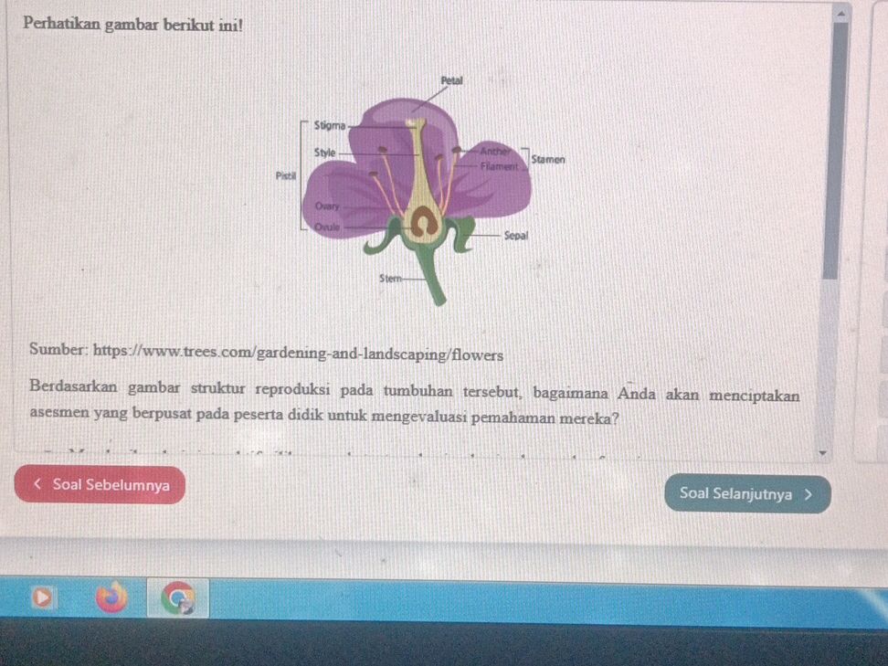 Perhatikan gambar berikut ini! Berdasarkan | StudyX