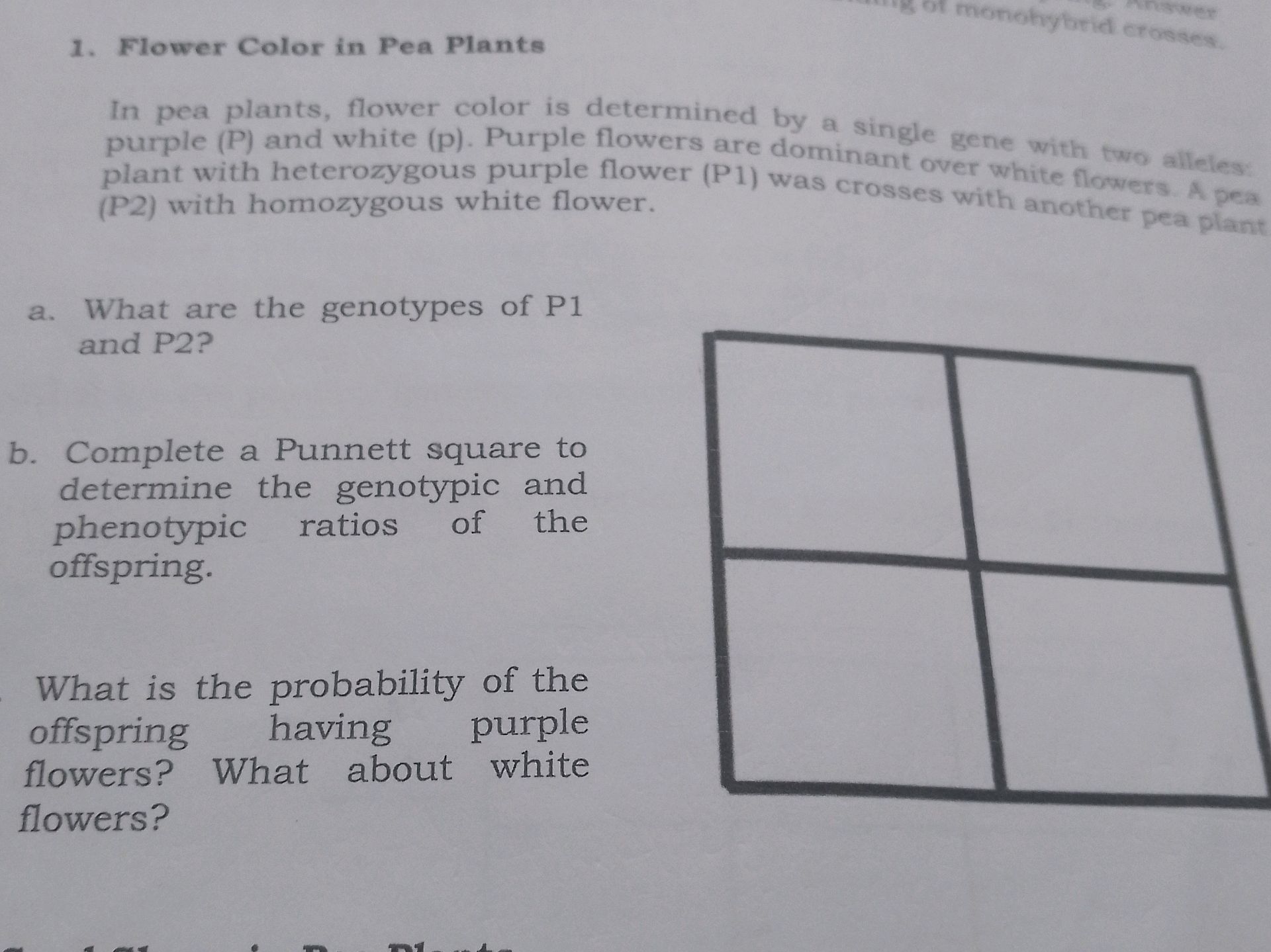 a. What are the genotypes of P1 and P2? b.