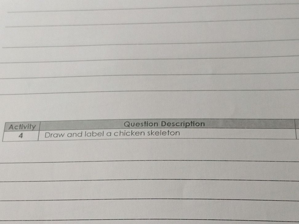 Activity 4 Question Description Draw and | StudyX