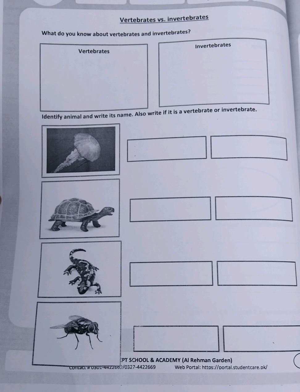 What do you know about vertebrates and | StudyX