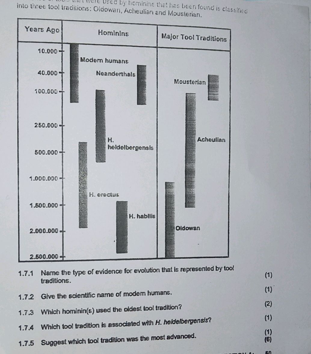 Years Ago | Hominins | Major Tool Traditions