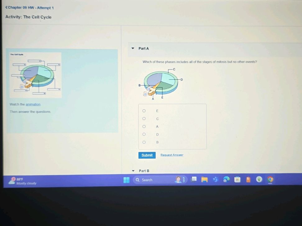 Which of these phases includes all of the | StudyX