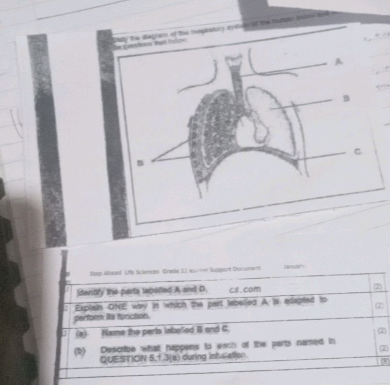 Identify the parts labelled A and D. 2.