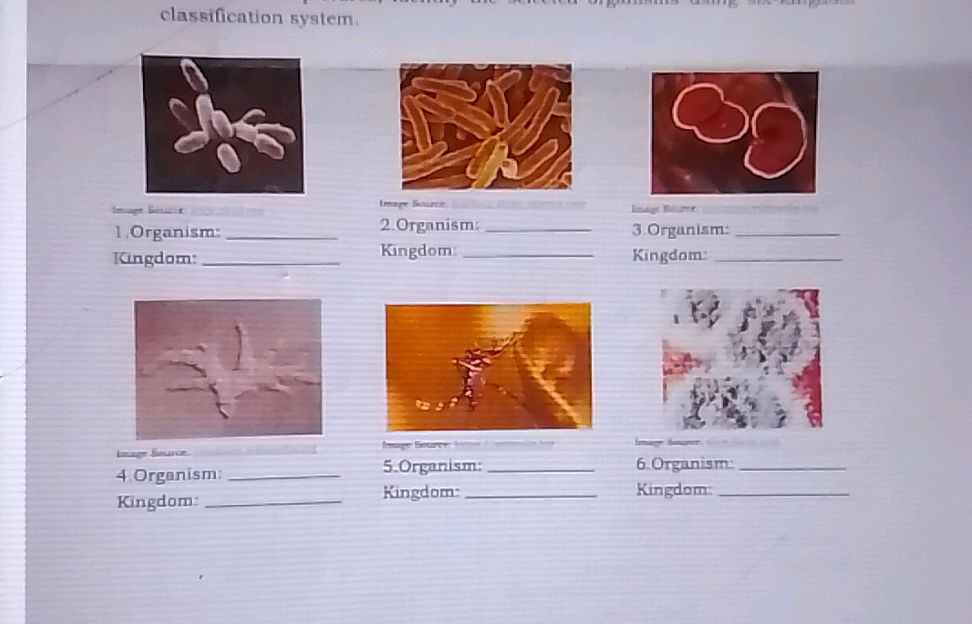 Identify the selected organisms using | StudyX