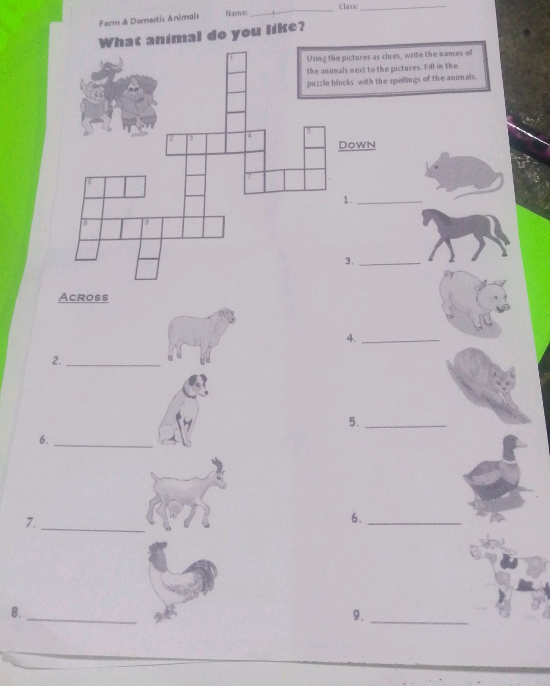 Using the pictures as clues, write the names | StudyX