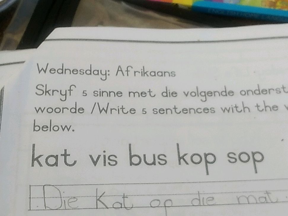 Skryf 5 sinne met die volgende onderstaande | StudyX