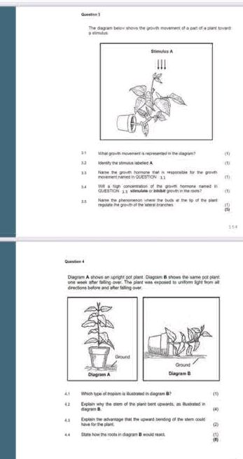2.1 What growth movement is represented in | StudyX