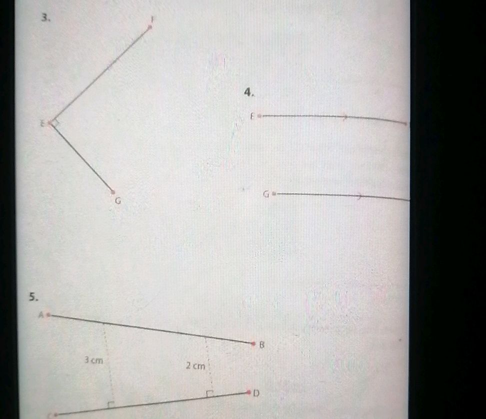 Geometry: Identifying lines and angles | StudyX