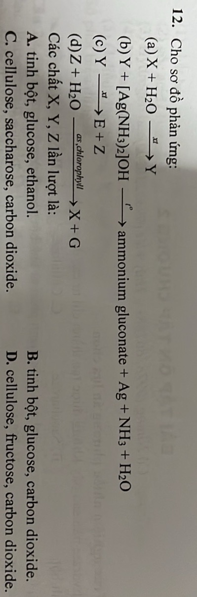 12. Cho sơ đồ phản ứng: (a) X + H2O → Y (b) | StudyX