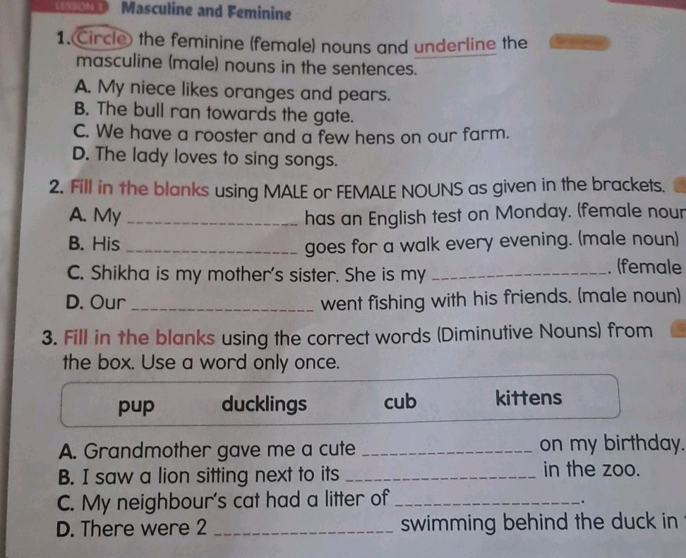 1. Circle the feminine (female) nouns and | StudyX