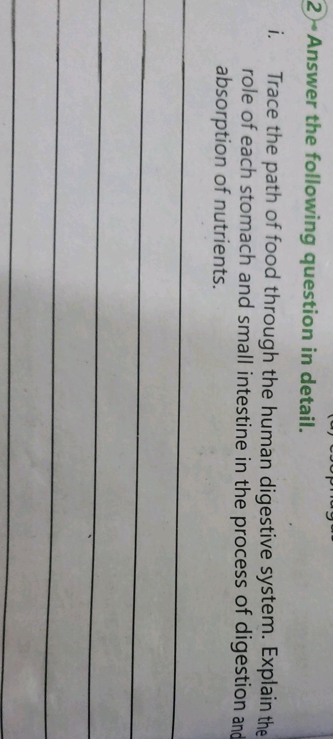 2 Answer the following question in detail. | StudyX